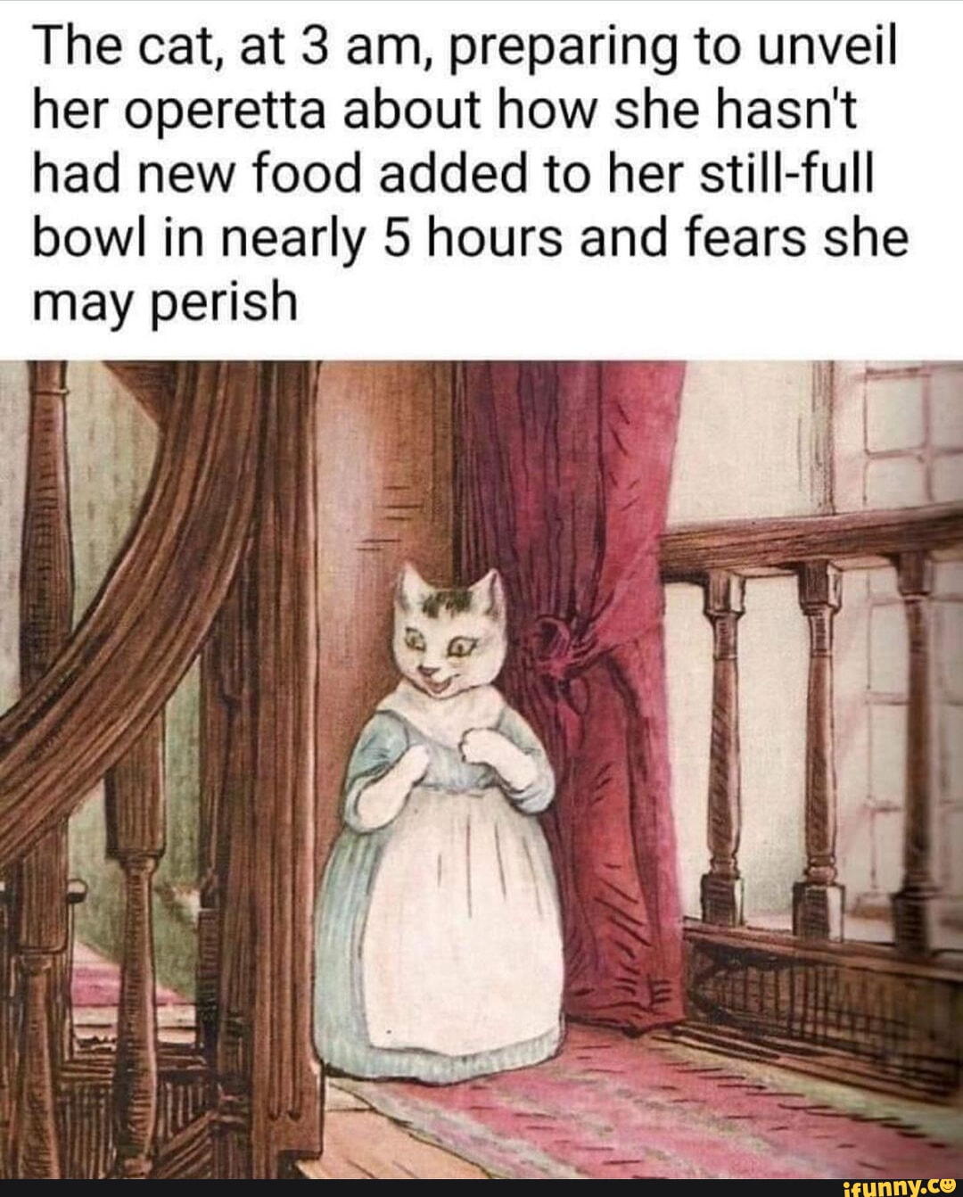 The cat, at 3 am, preparing to unveil her operetta about how she hasn't ...