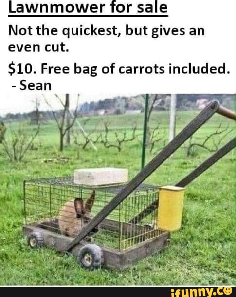Help Grandma Are You Okay No Bred Buy Me Bread Walmar Ifunny 1279