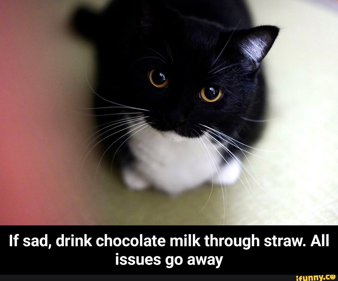 If sad, drink chocolate milk through straw. All issues go away - If sad ...