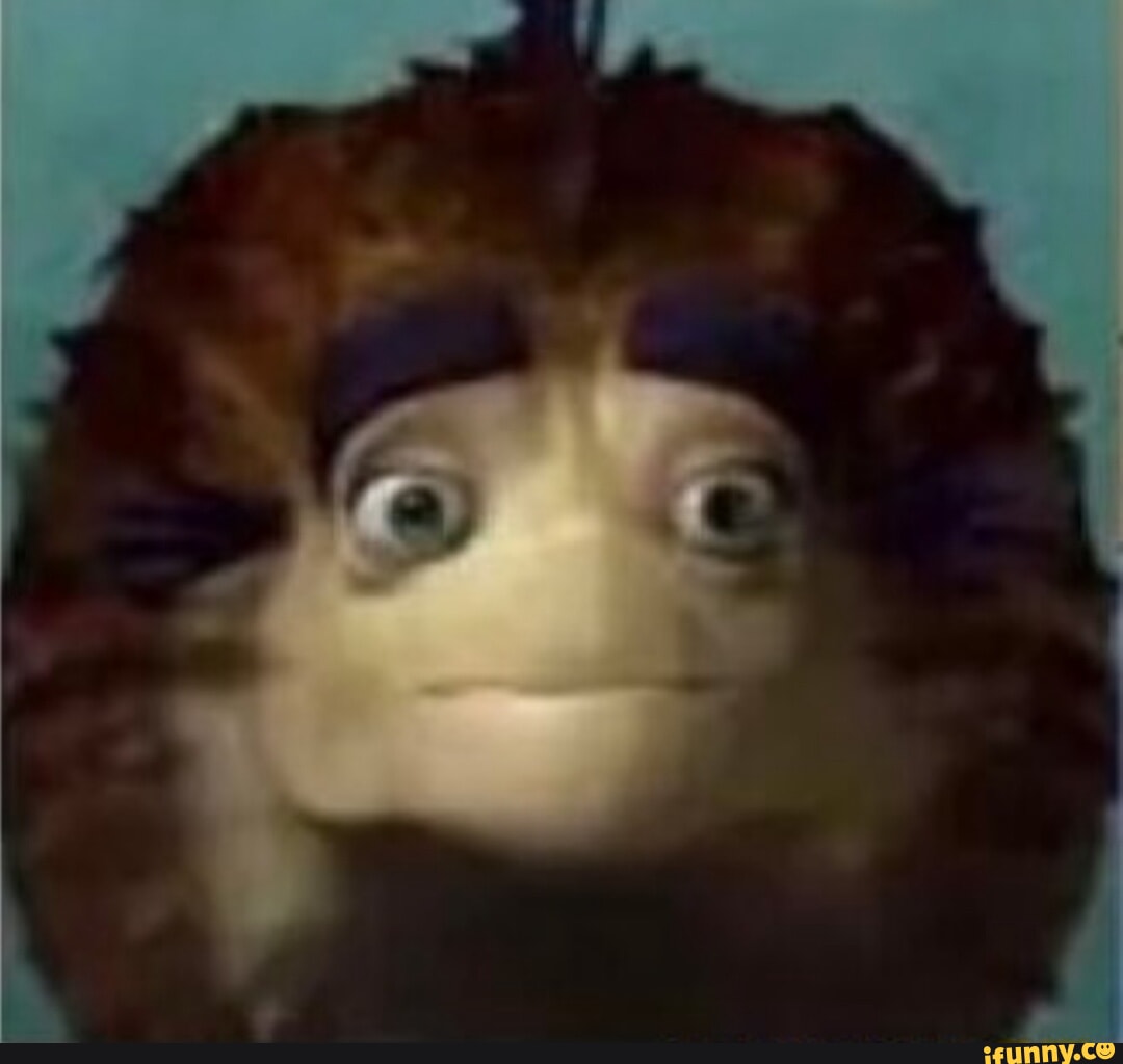 Sharktale memes. Best Collection of funny Sharktale pictures on iFunny