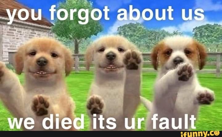 You forgot about us we died its ur fault - iFunny