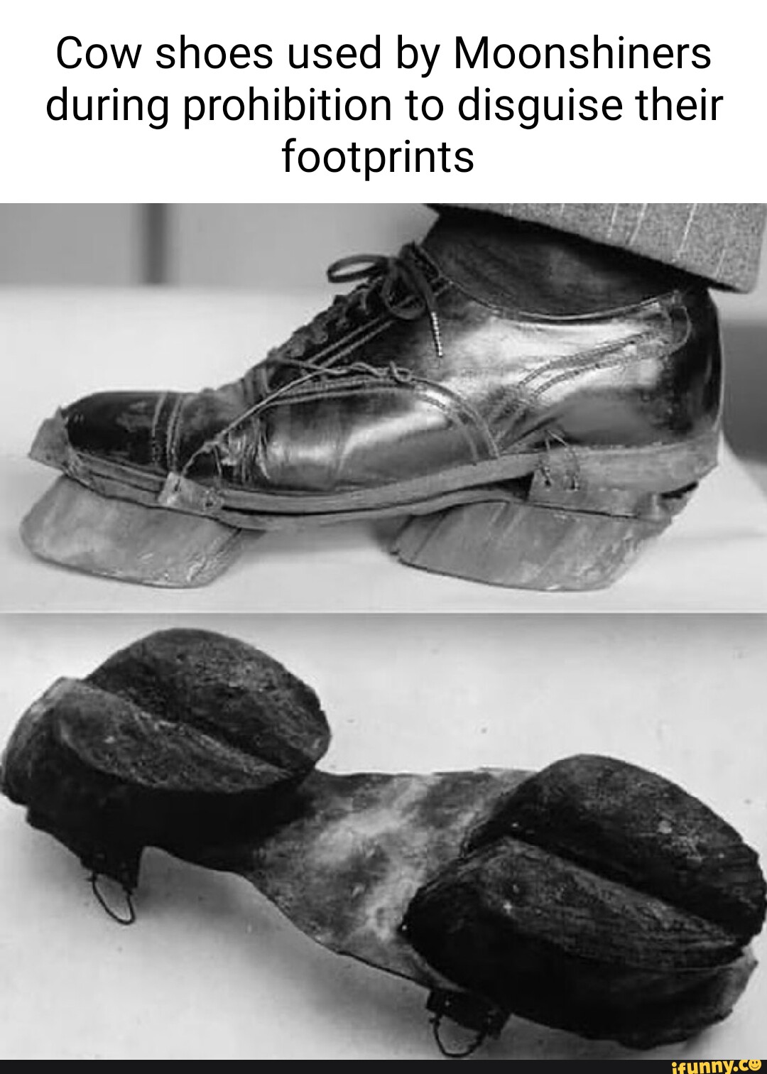 Picture memes NHN6eLqZ6 by PeterQuillStarLord: 1.8K comments - iFunny