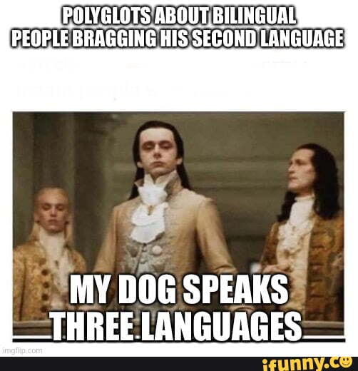 POLYGLOTS ABOUT BILINGUAL PEOPLE BRAGGING HIS SECOND LANGUAGE in MY DOG ...