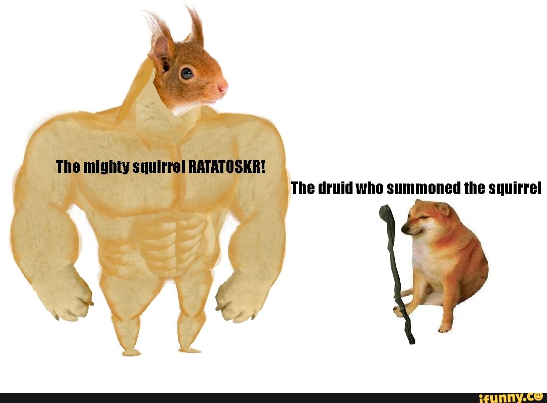 The mighty squirrel RATATOSKR! The druid who summoned the squirrel - iFunny