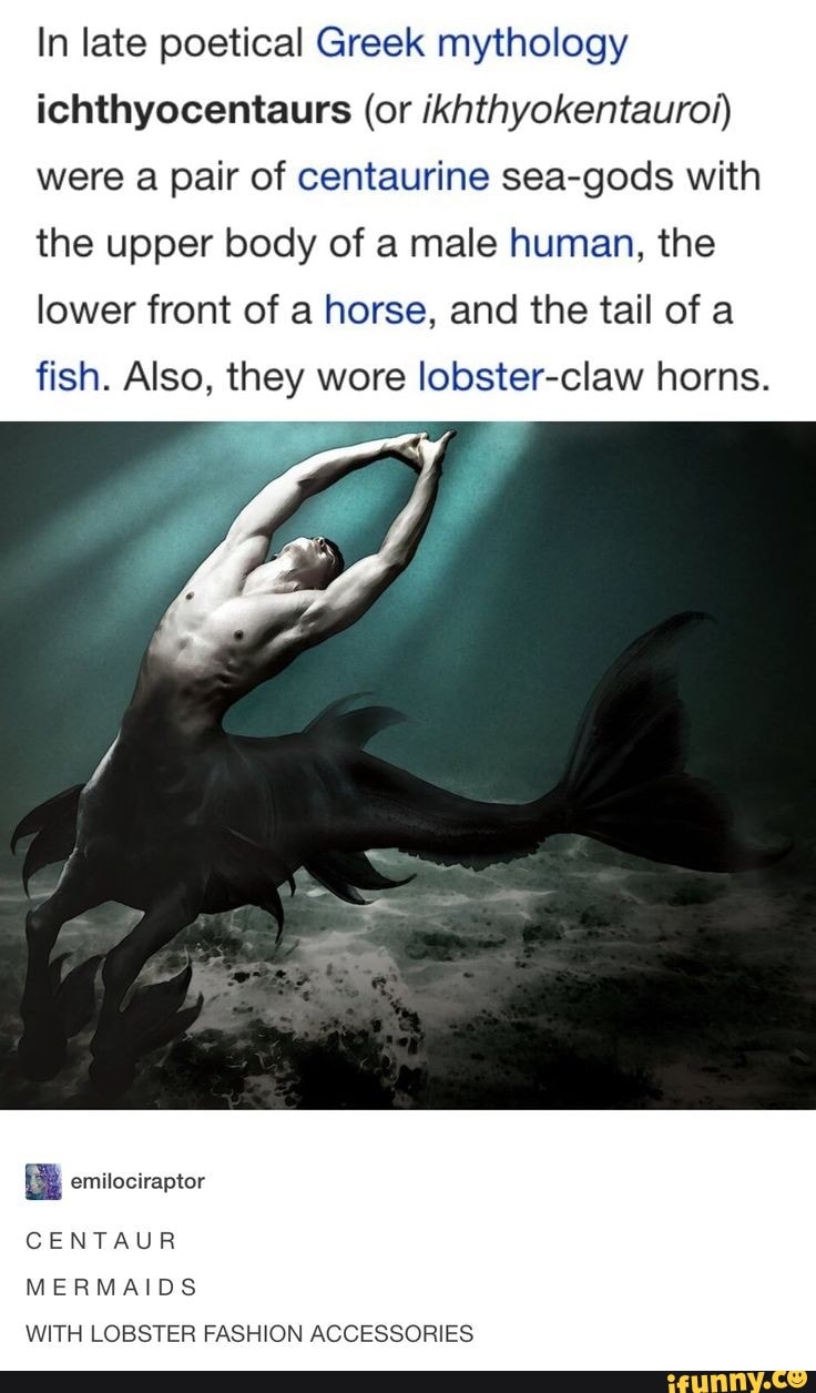 Ichthyocentaurs memes. Best Collection of funny Ichthyocentaurs ...