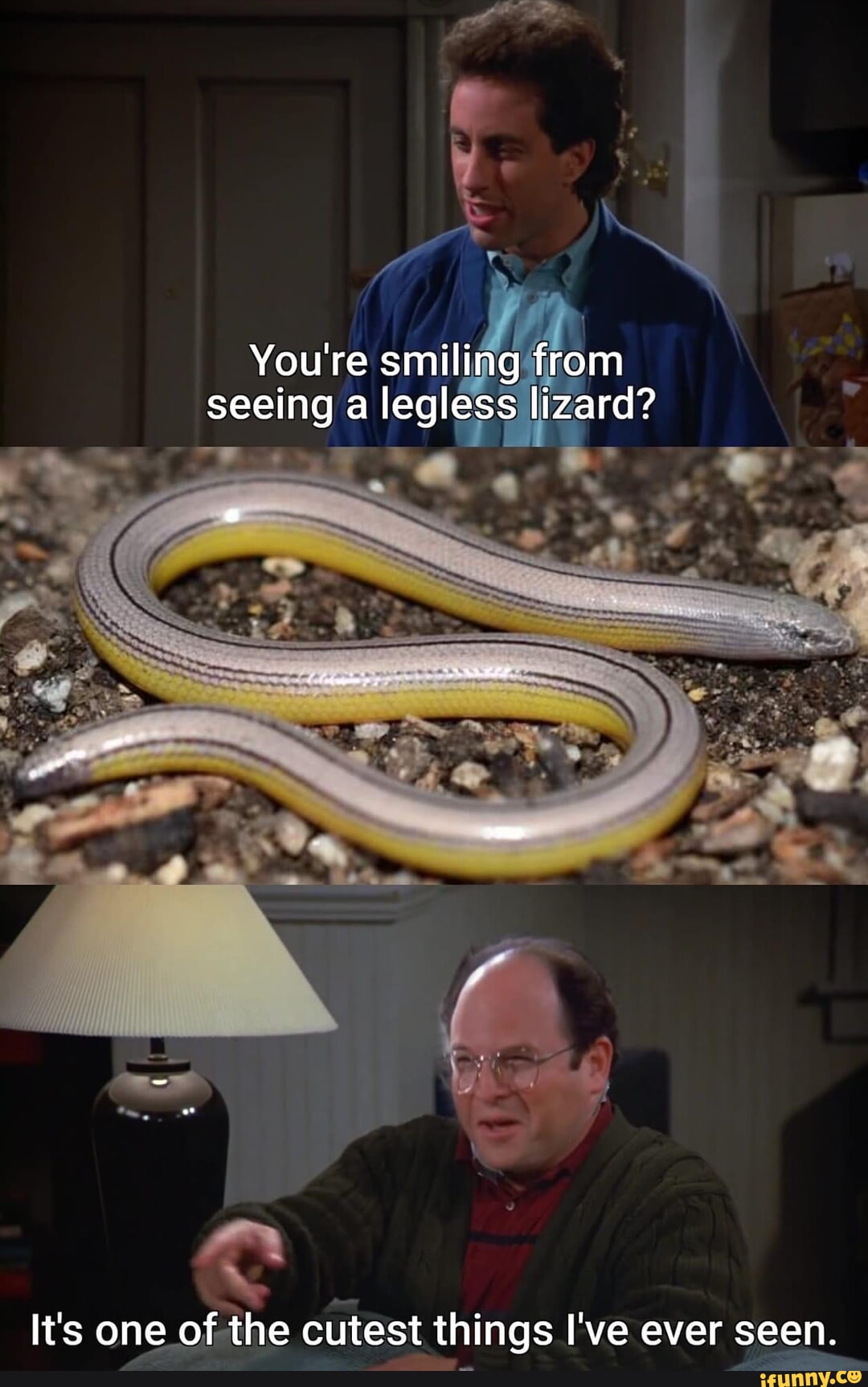 Legless memes. Best Collection of funny Legless pictures on iFunny