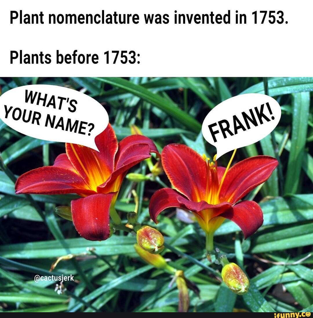 Nomenclature - Plant nomenclature was invented in 1753. Plants before ...