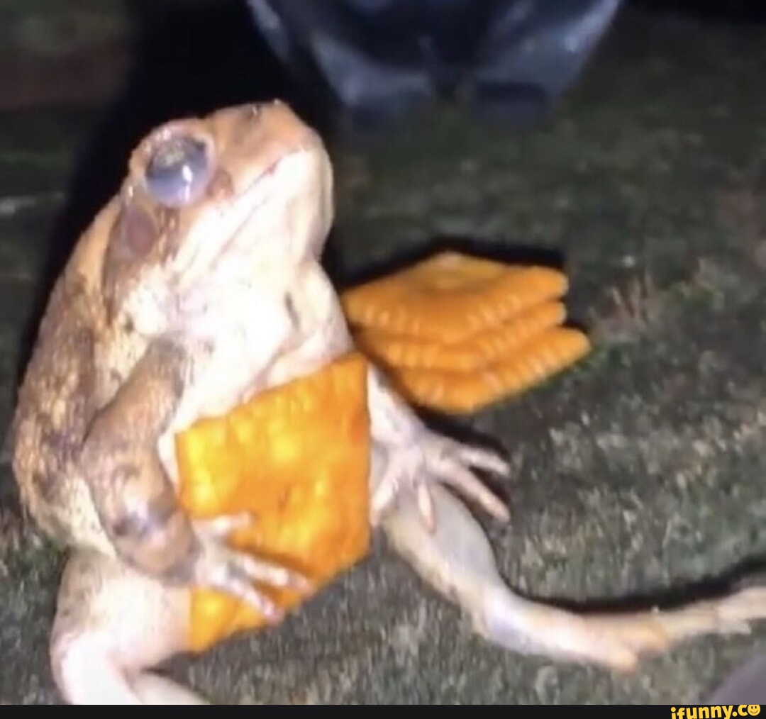 Cheezits memes. Best Collection of funny Cheezits pictures on iFunny