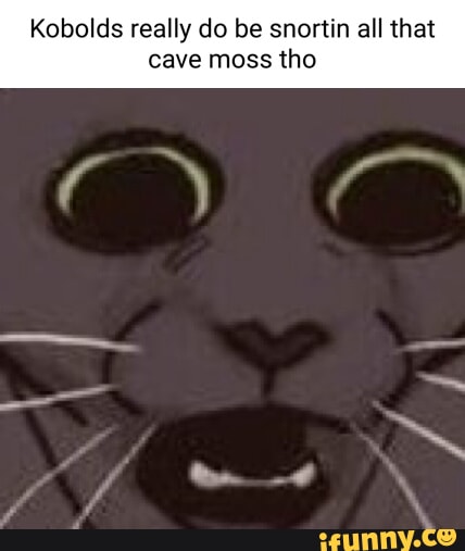 Kobolds memes. Best Collection of funny Kobolds pictures on iFunny