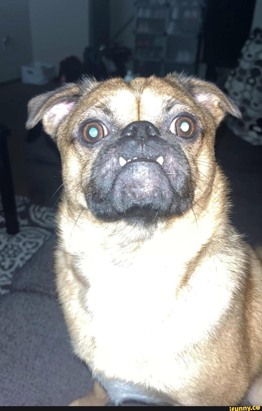 Underbite memes. Best Collection of funny Underbite pictures on iFunny