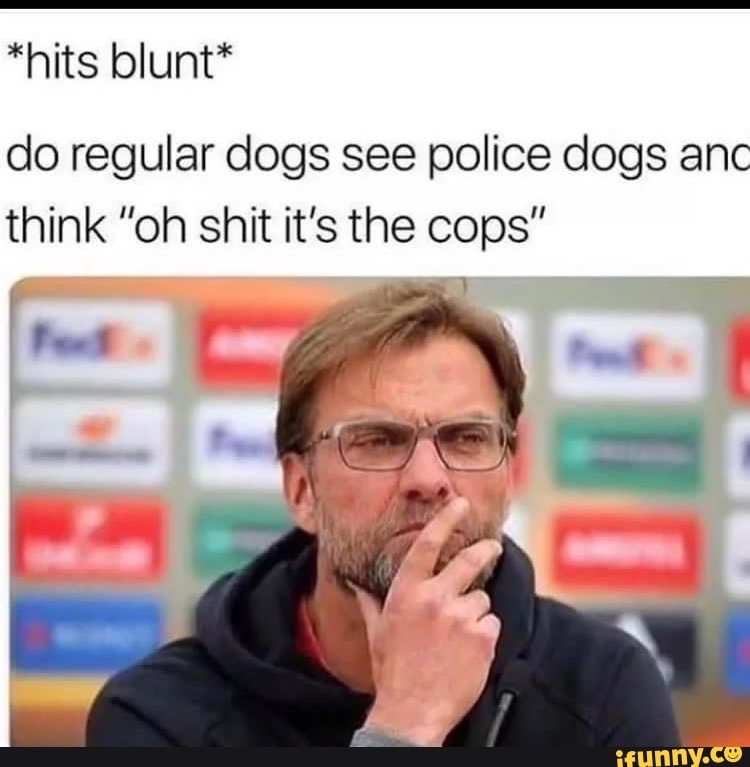 *hits blunt* do regular dogs see police dogs anc think "oh shit it's ...