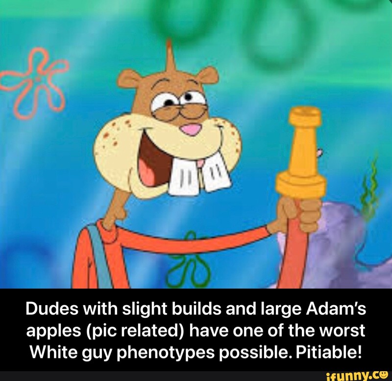 Phenotypes memes. Best Collection of funny Phenotypes pictures on iFunny