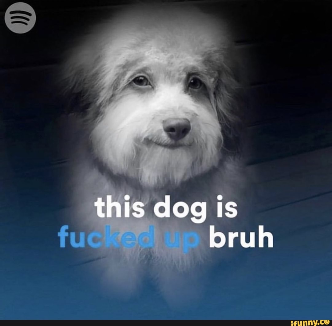 This dog is bruh - )