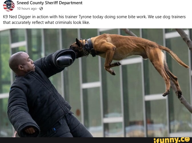 Sneed County Sheriff Department Ned Digger in action with his trainer ...