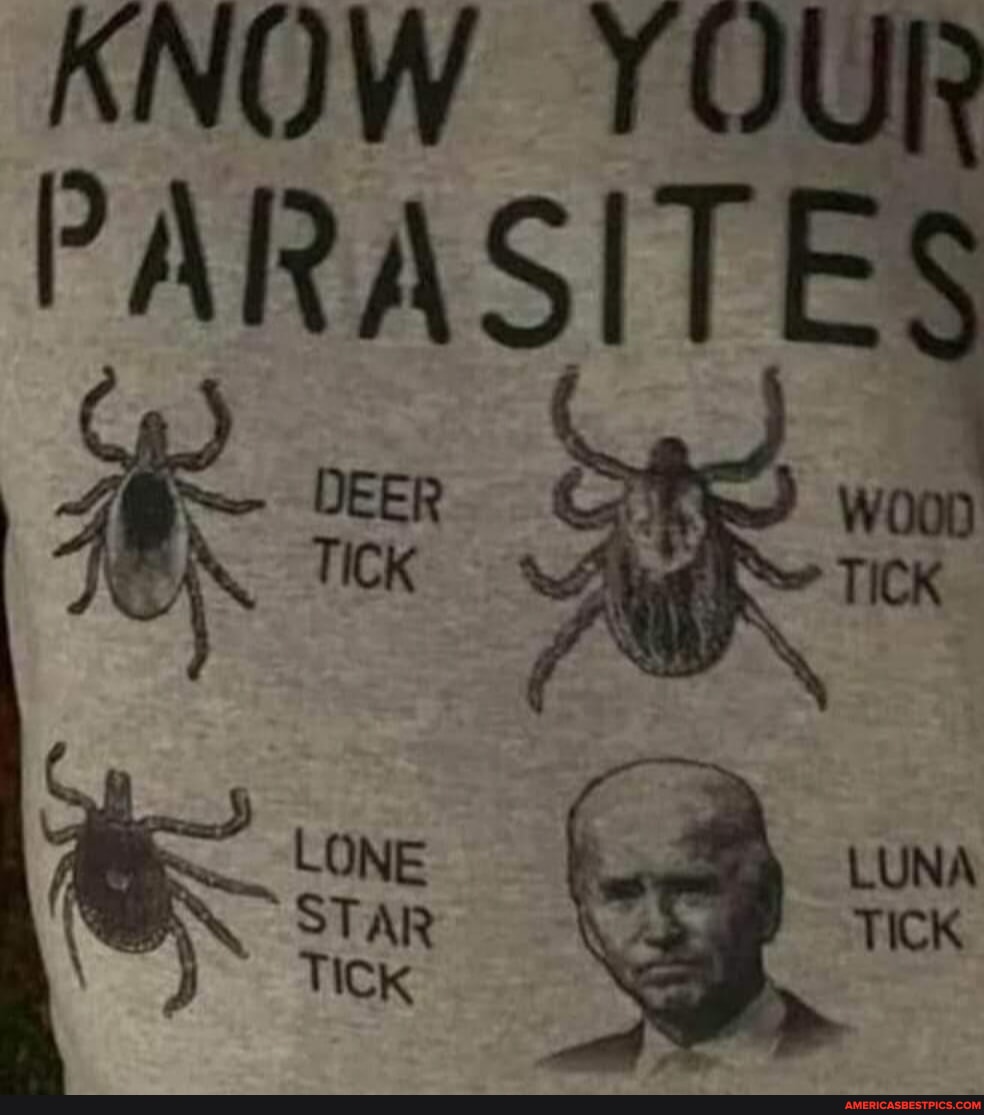 KNOW YOUR PARASITES DEE LONE STAR \ TICK - America’s best pics and videos