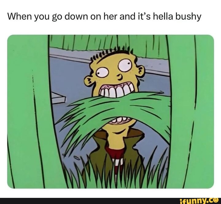 Bushy Memes