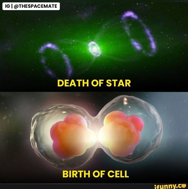 IG @THESPACEMATE DEATH OF STAR BIRTH OF CELL - iFunny