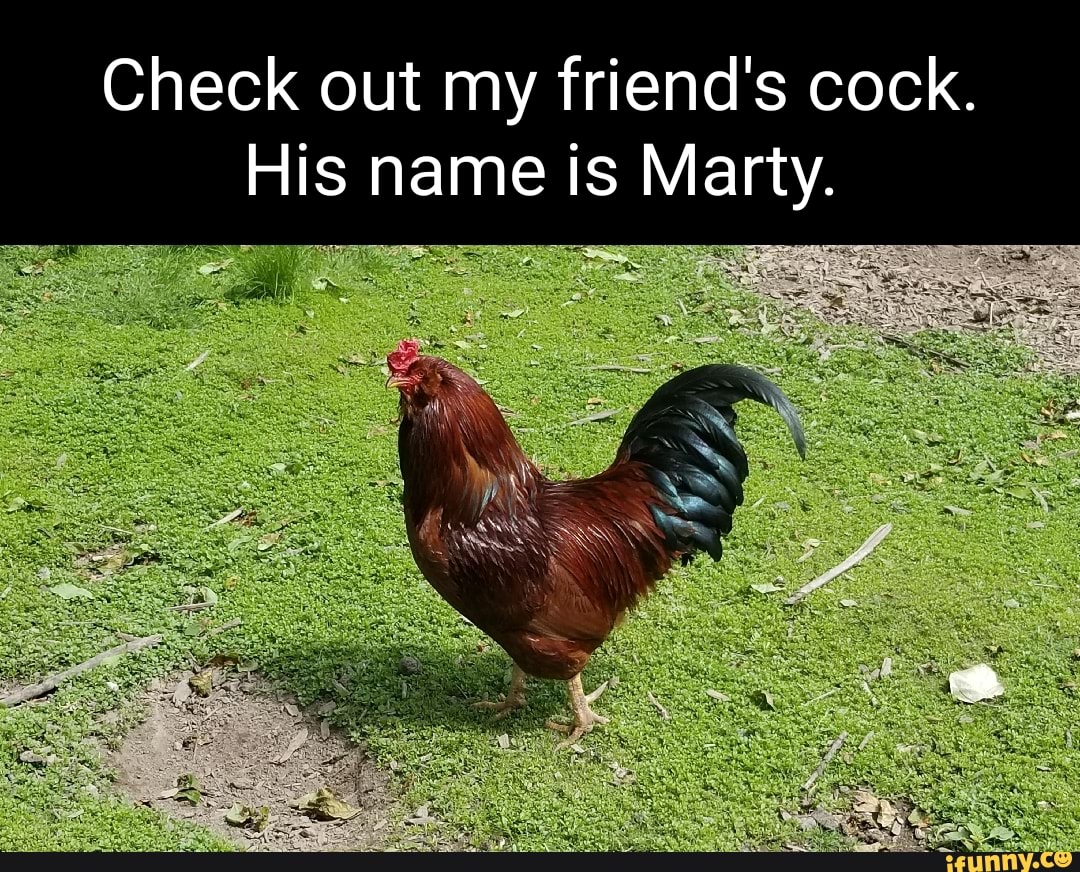 Chimkin memes. Best Collection of funny Chimkin pictures on iFunny