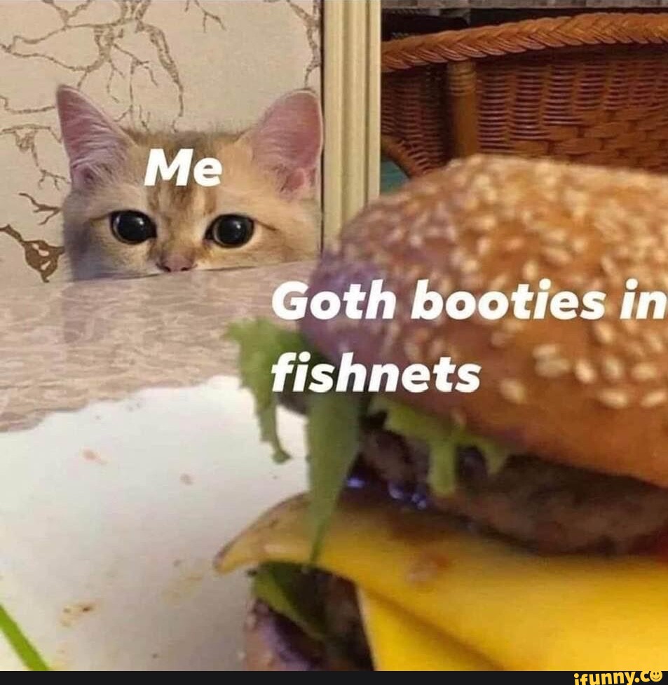 Booties memes. Best Collection of funny Booties pictures on iFunny