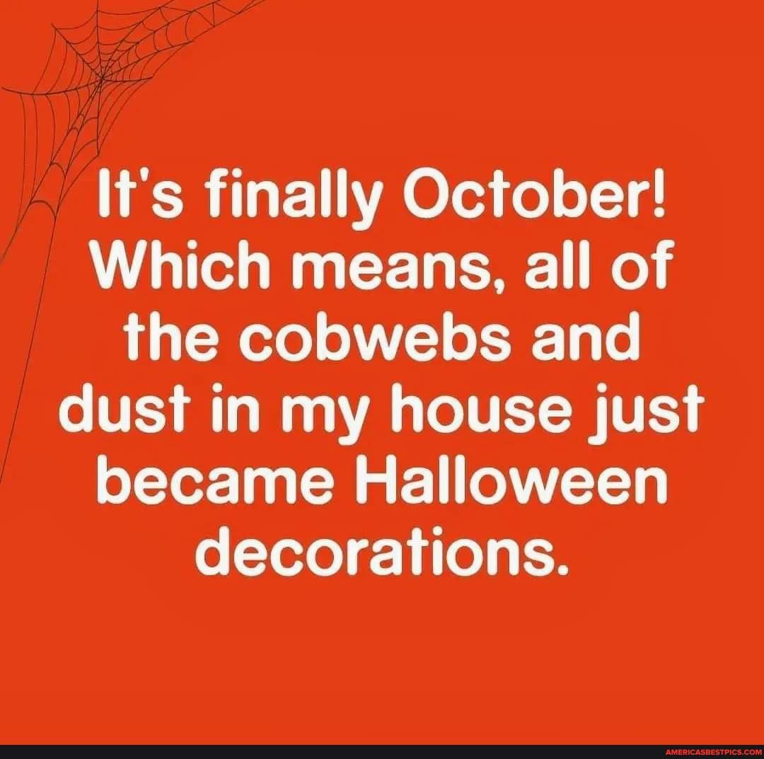 #cobwebs #halloween #october - It's finally October! Which means, all ...