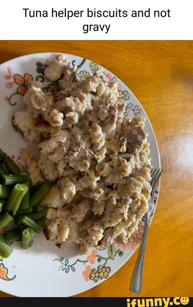 Tuna helper biscuits and not gravy - iFunny