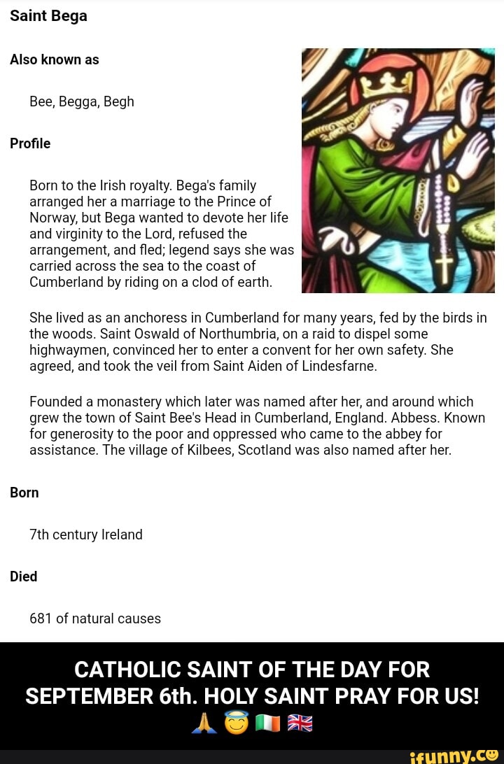 Bega memes. Best Collection of funny Bega pictures on iFunny