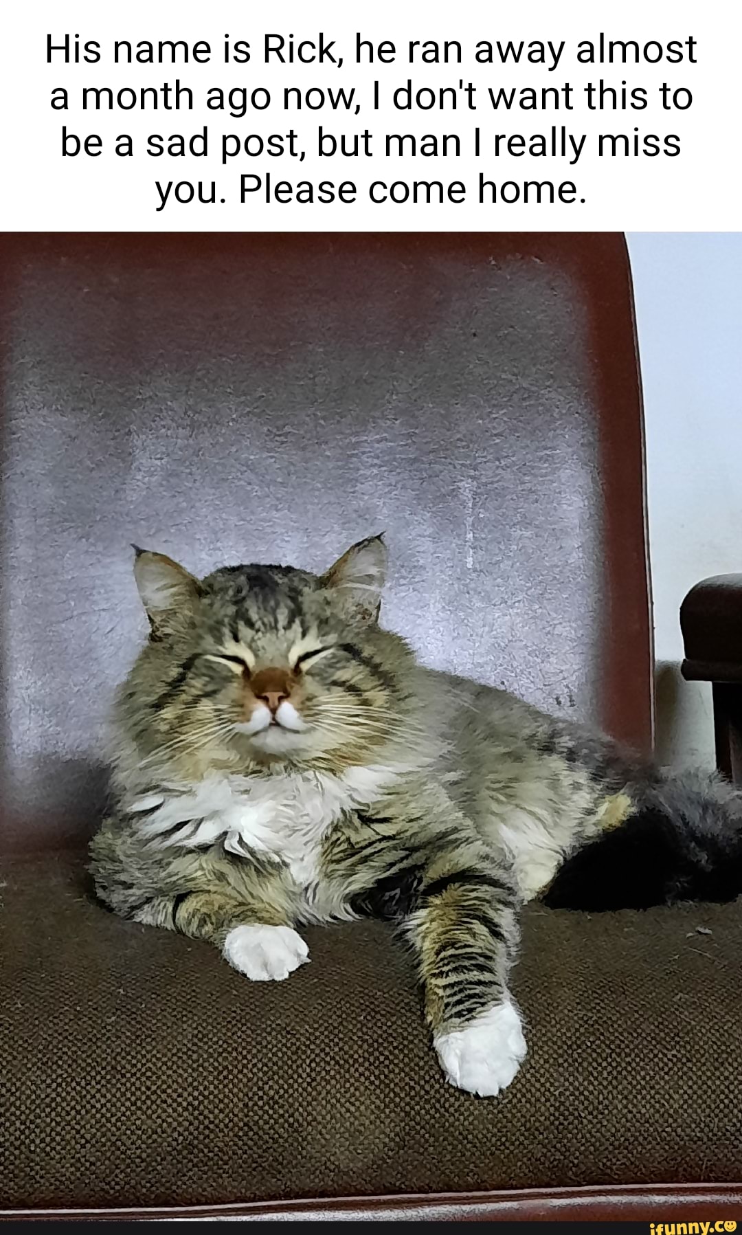 His name is Rick, he ran away almost a month ago now, I don't want this ...