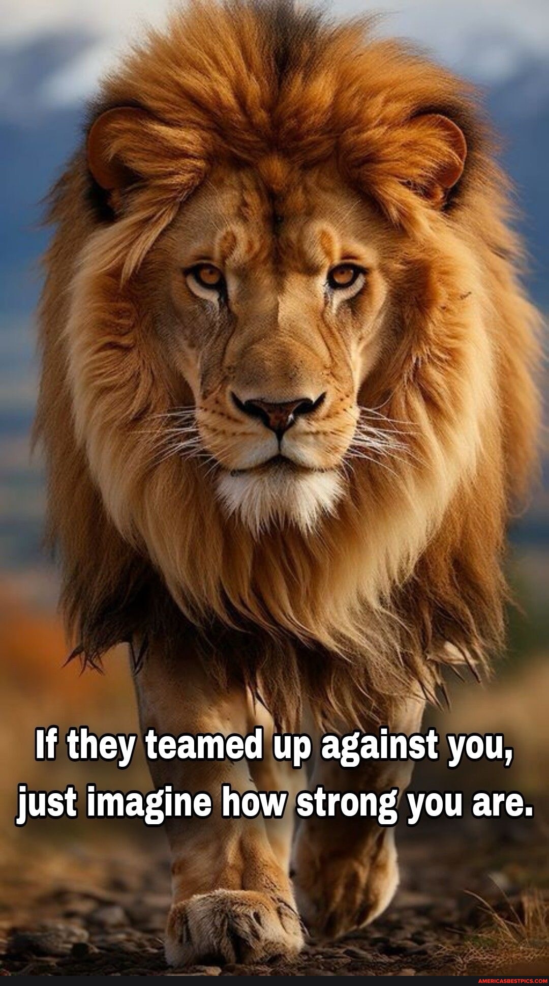 'SS If they teamed up against you, just imagine how strong you are ...