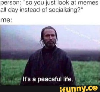 Person: "SO you just look al memes all day instead of socializing?" me ...