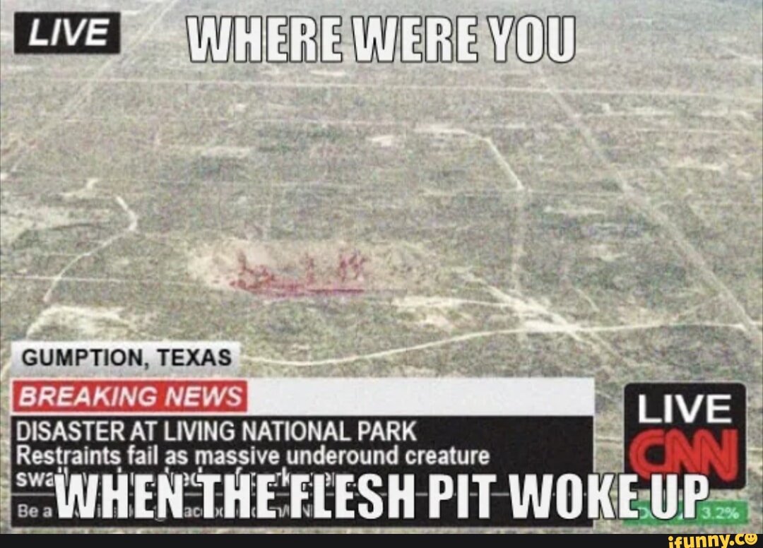 Gumption memes. Best Collection of funny Gumption pictures on iFunny