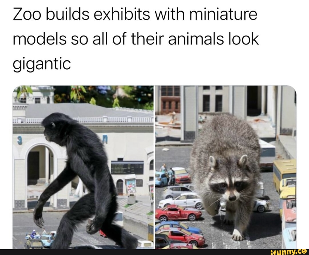 Zoo builds exhibits with miniature models so all of their animals look ...