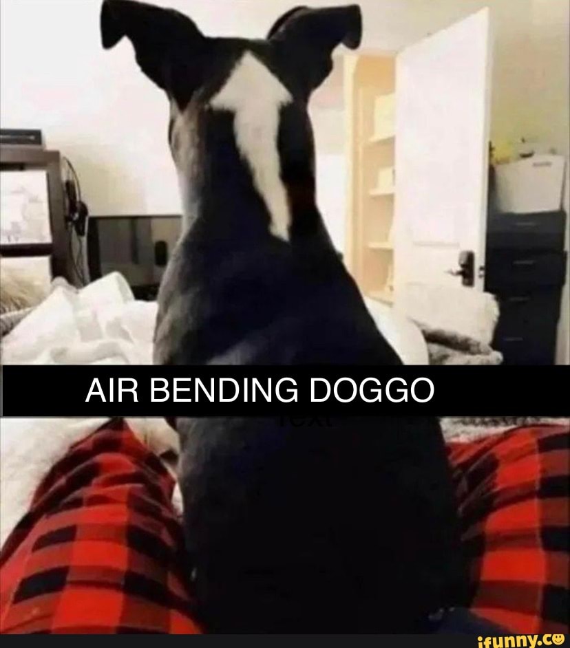 At AIR BENDING DOGGO - iFunny