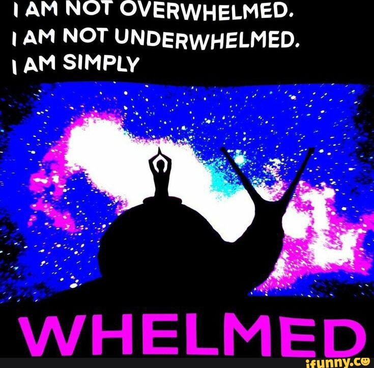 Whelmed memes. Best Collection of funny Whelmed pictures on iFunny