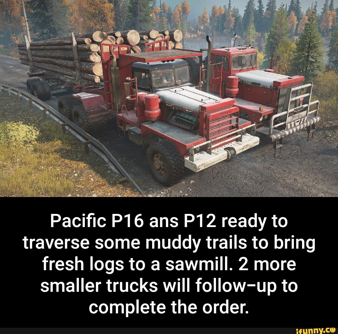 Sawmill memes. Best Collection of funny Sawmill pictures on iFunny