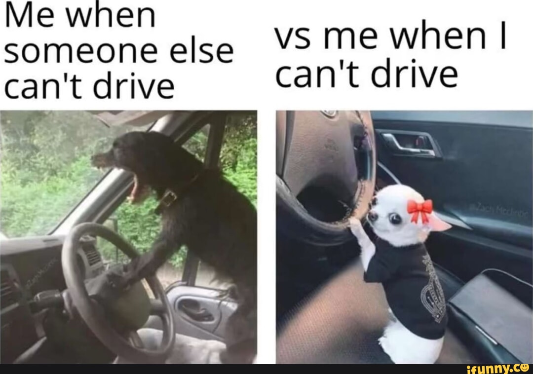 Me when someone else VS mew when I can't drive can't drive - iFunny
