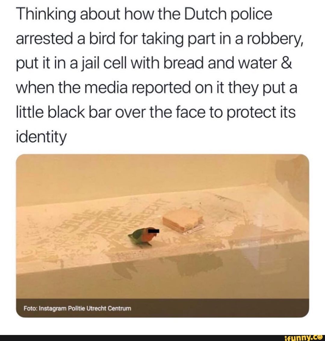 Thinking about how the Dutch police arrested a bird for taking part in ...