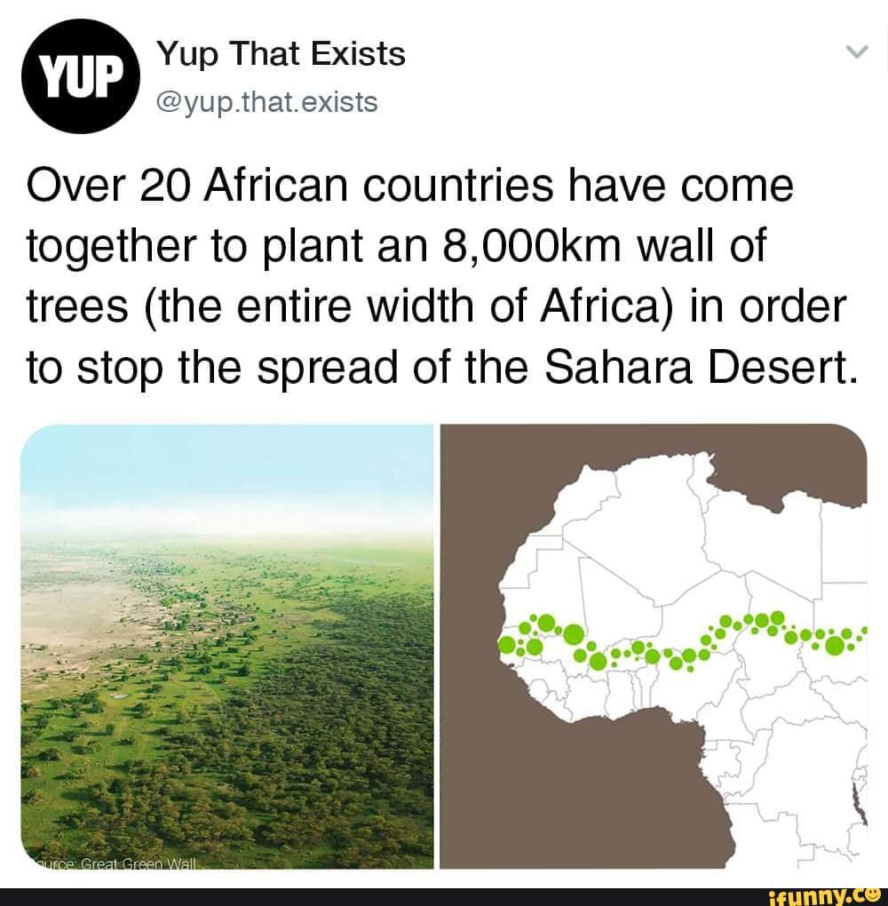 Over 20 African countries have come together to plant an 8,000km wall ...
