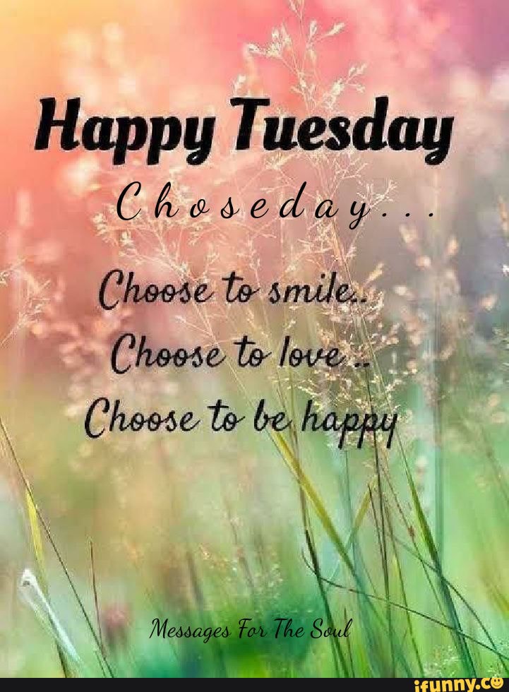 Have a wonderful day... ??? - Happy Tuesday Cheseday. Cheose to smile ...