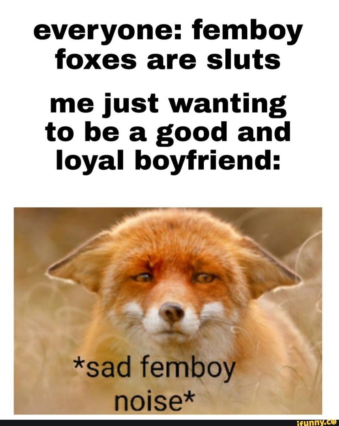 Femboy fox - everyone: femboy foxes are sluts me just wanting to be a ...