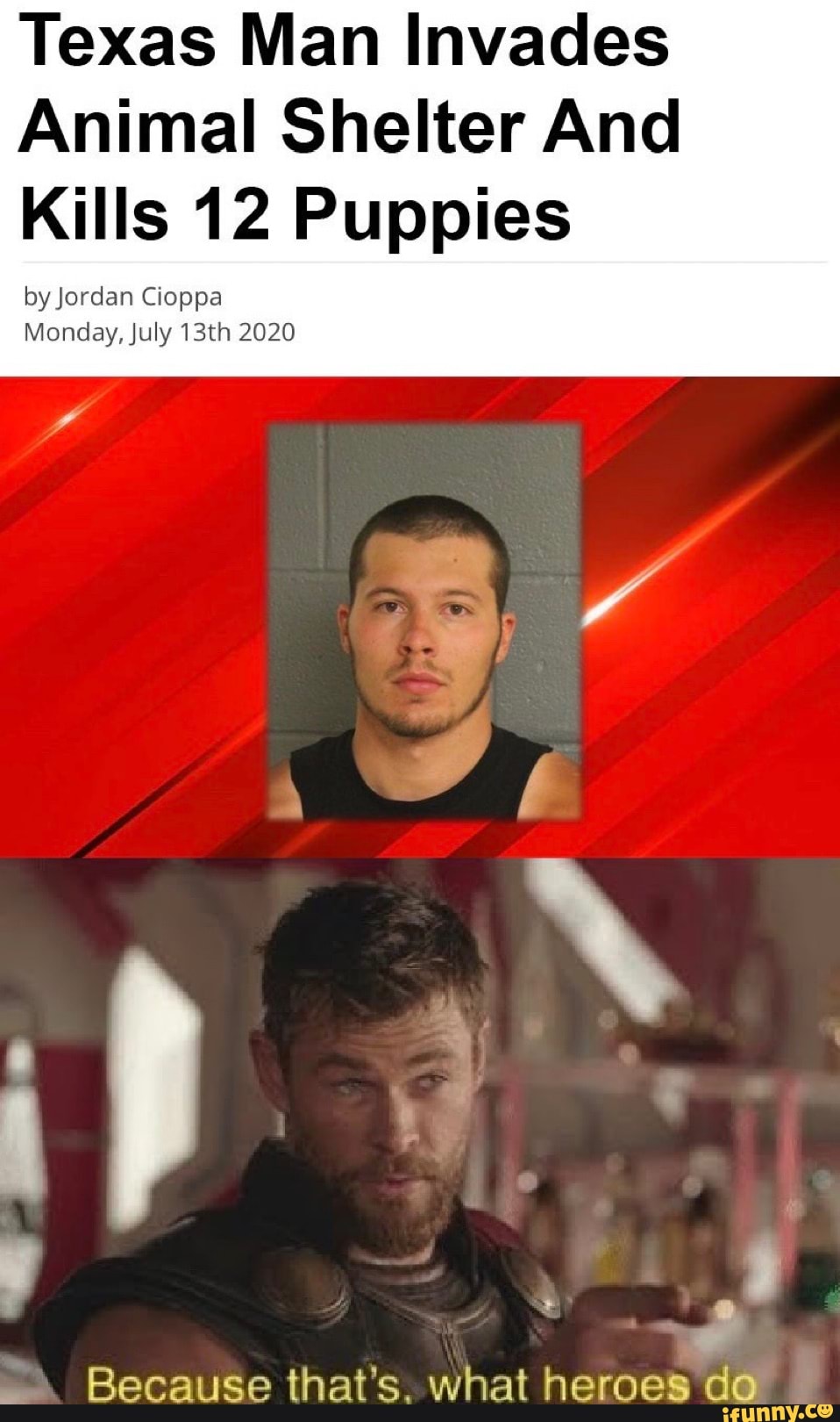 Texas Man Invades Animal Shelter And Kills 12 Puppies by Jordan Cioppa ...