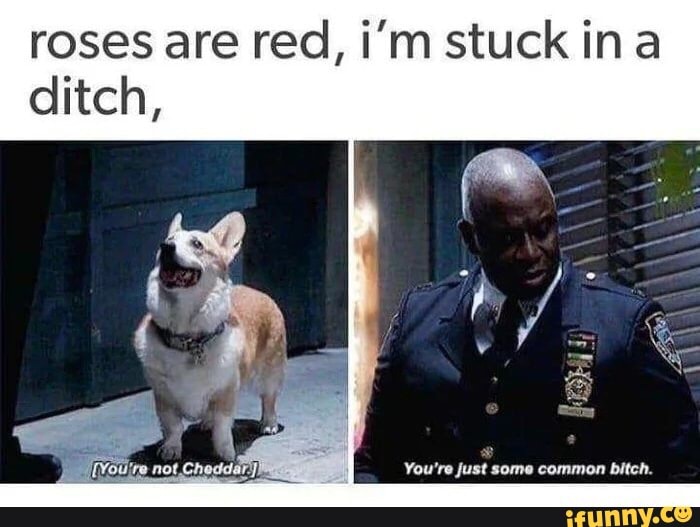 Roses are red, ¡i'm stuck in a ditch, - iFunny