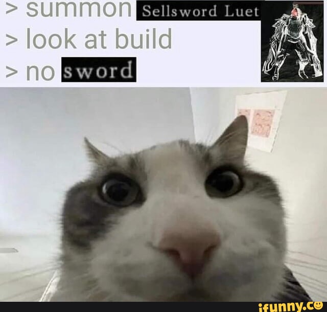 SUMMON > look at build NO sword Sellsword Luet - iFunny
