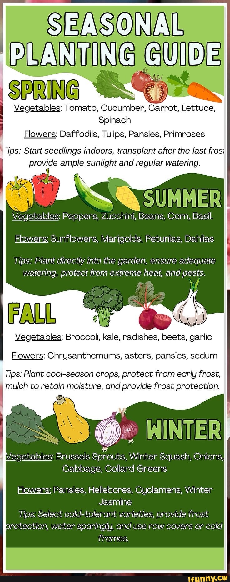 Spinach memes. Best Collection of funny Spinach pictures on iFunny