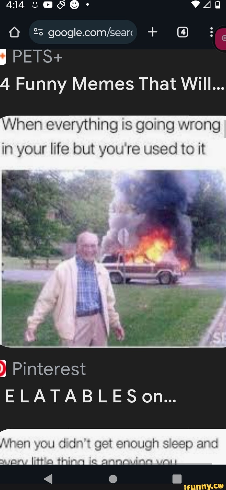 Hilarious Memes Pinterest