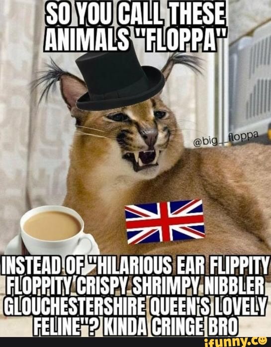 YOU CALL THESE ANIMALS "FLOPPA" 4, FAN INSTEAD OF "HILARIOUS EAR ...