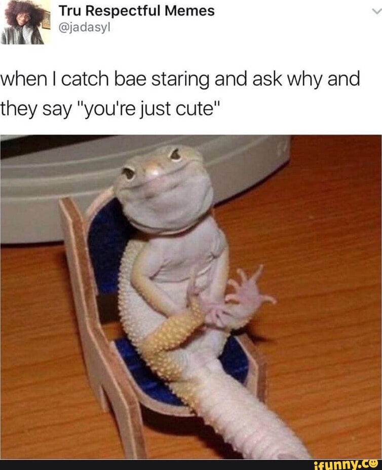 Tru Respectful Memes @jadasyl hen I catch bae staring and ask why and ...
