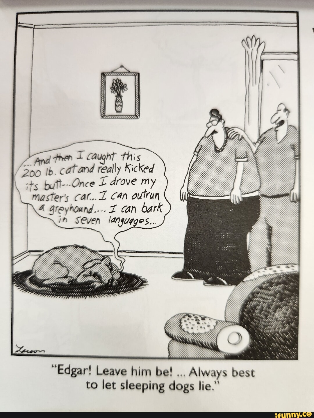 Greyhound memes. Best Collection of funny Greyhound pictures on iFunny