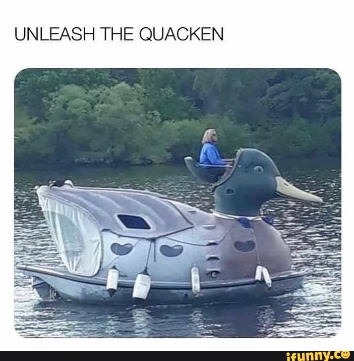 Quacken memes. Best Collection of funny Quacken pictures on iFunny