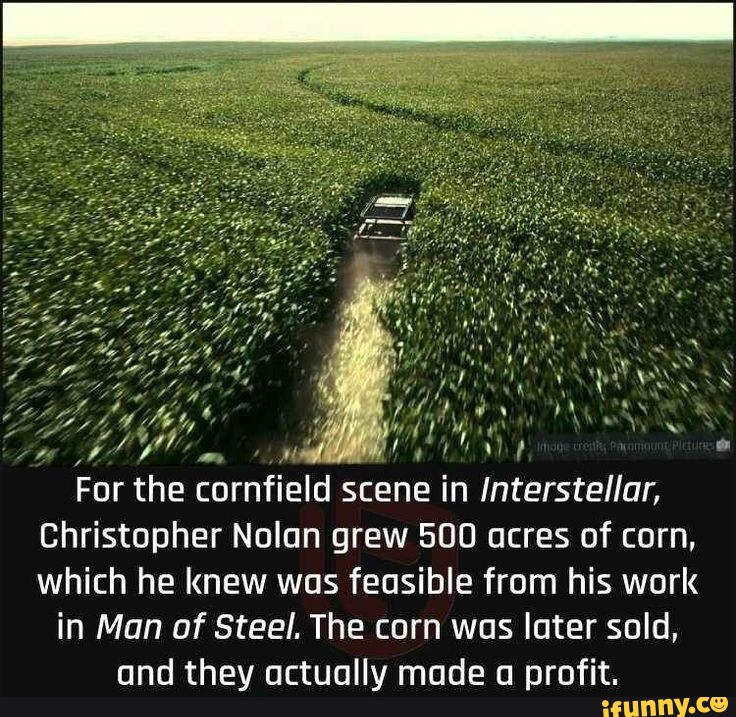 For the cornfield scene in Interstellar, Christopher Nolan grew 500 ...