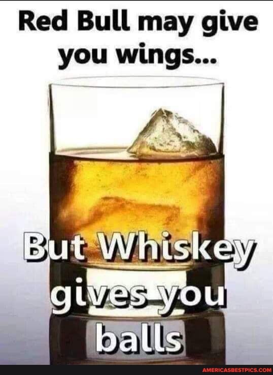 Red Bull may give you wings... pale - America’s best pics and videos